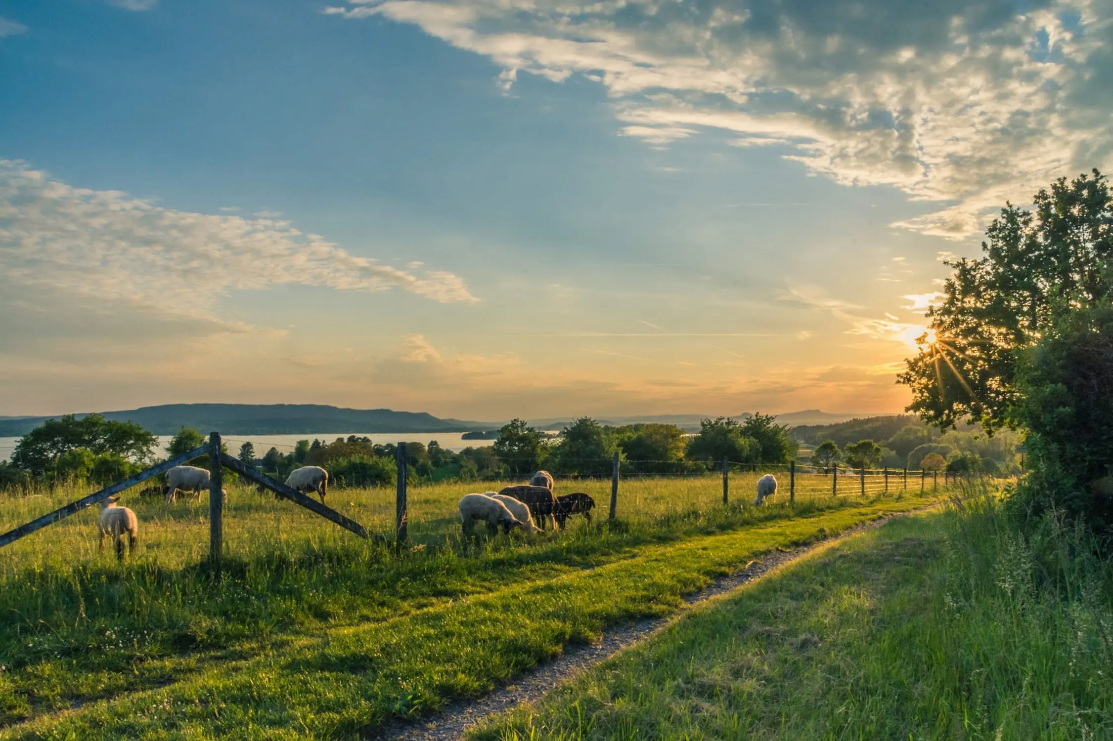 Beretta Farms | Local farm in Ontario| Food for Humans | Food for Humans